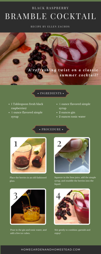 How to Make a Black Raspberry Bramble Cocktail - Home, Garden and Homestead