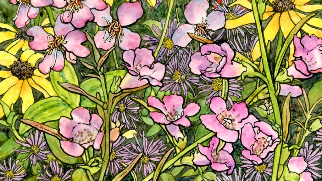 Gardening Lessons Learned from GreenPrints Magazine - HG&H