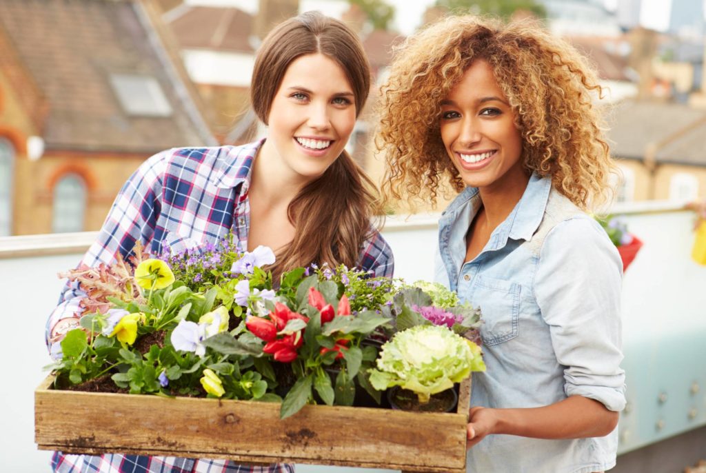 2020 Garden Trends Include Tiny Gardens and Hardy Tropical Plants ...