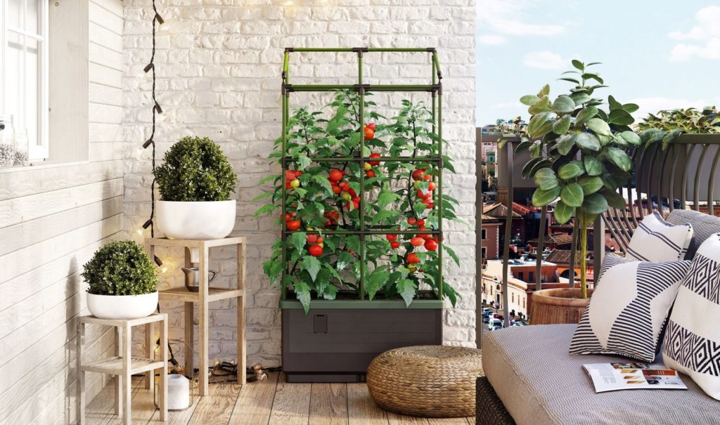 Tips for growing successful container gardens - HG&H