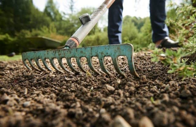 Soil Testing for Beginners - Home, Garden and Homestead