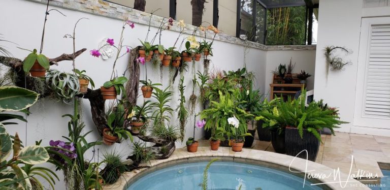 Orchid Garden Pool Landscape - Home, Garden and Homestead