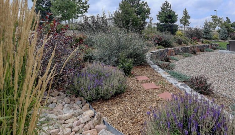 Garden | Where The Wild Things Grow Or Where The Tastiness Grows?