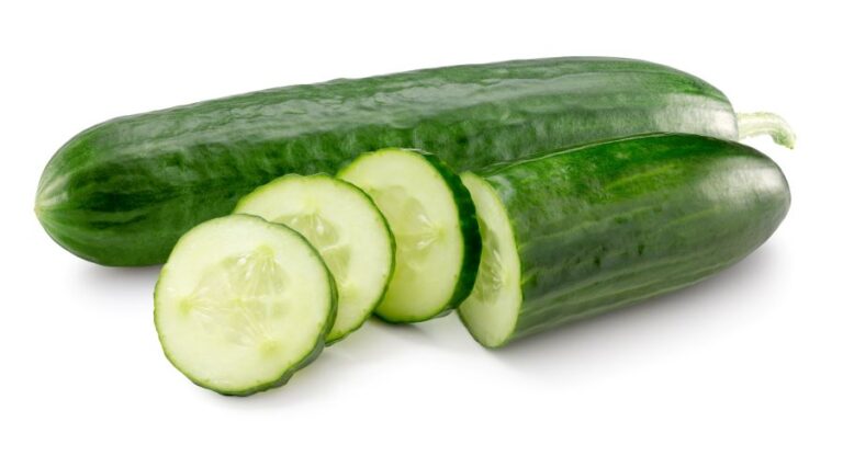 How to grow cucumbers, treat cucumber diseases, and trellis plants