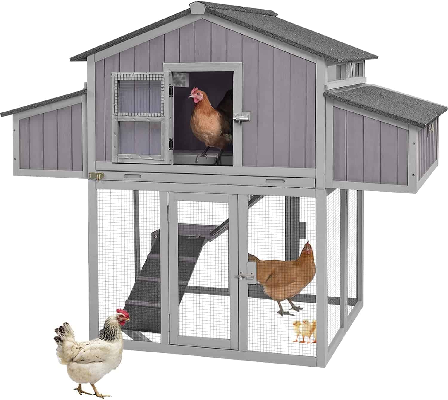 Top Tips for Raising Backyard Chickens - Home, Garden and Homestead